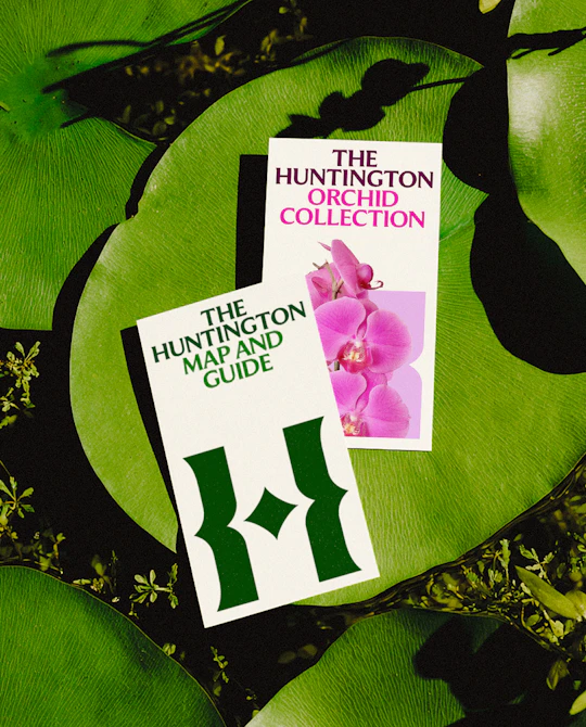 The Huntington | Base Design