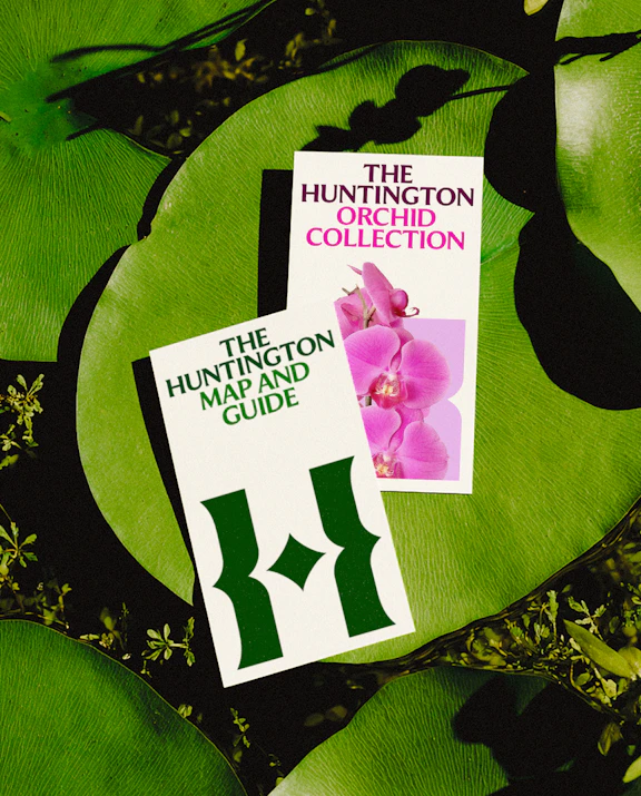 The Huntington | Base Design