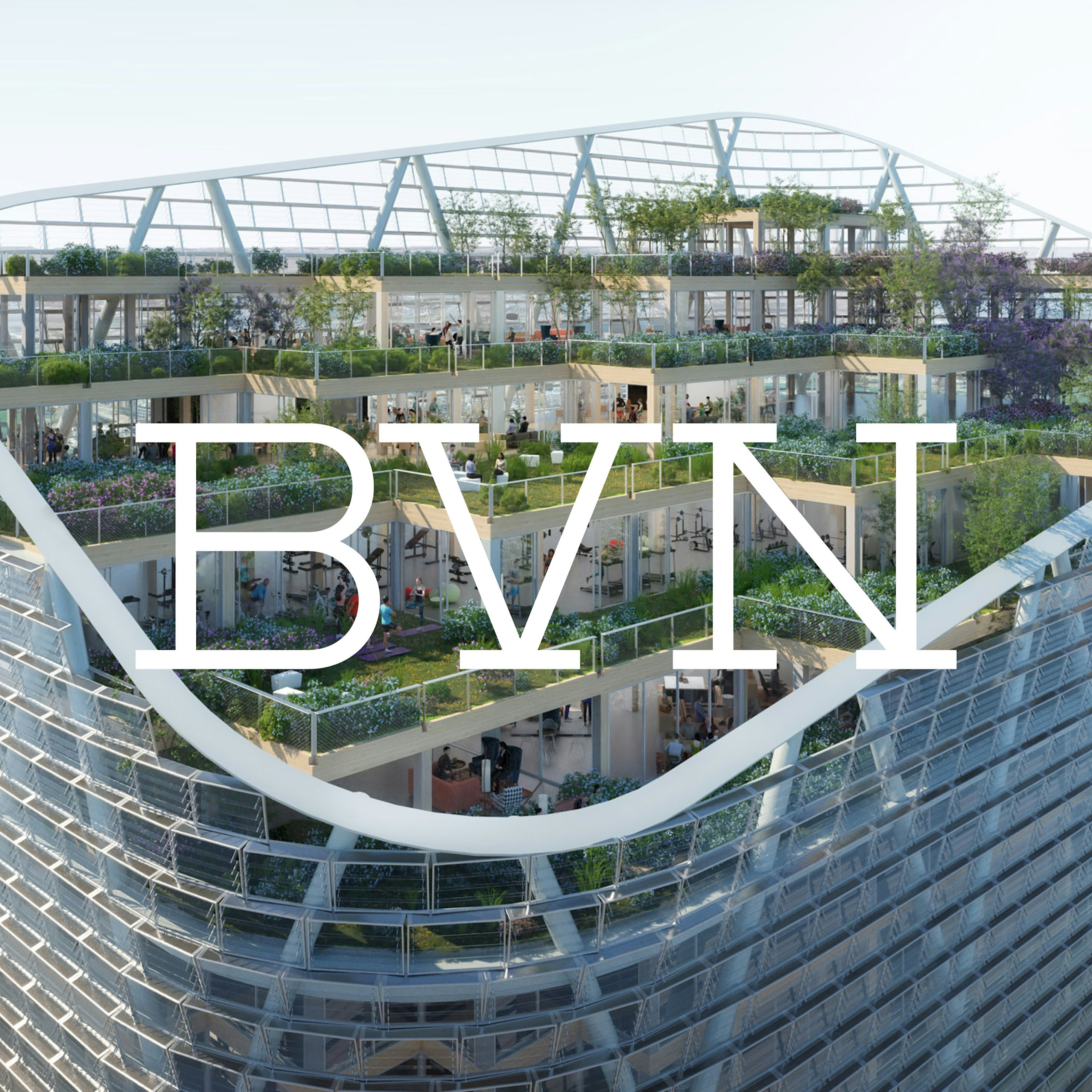 BVN | Base Design