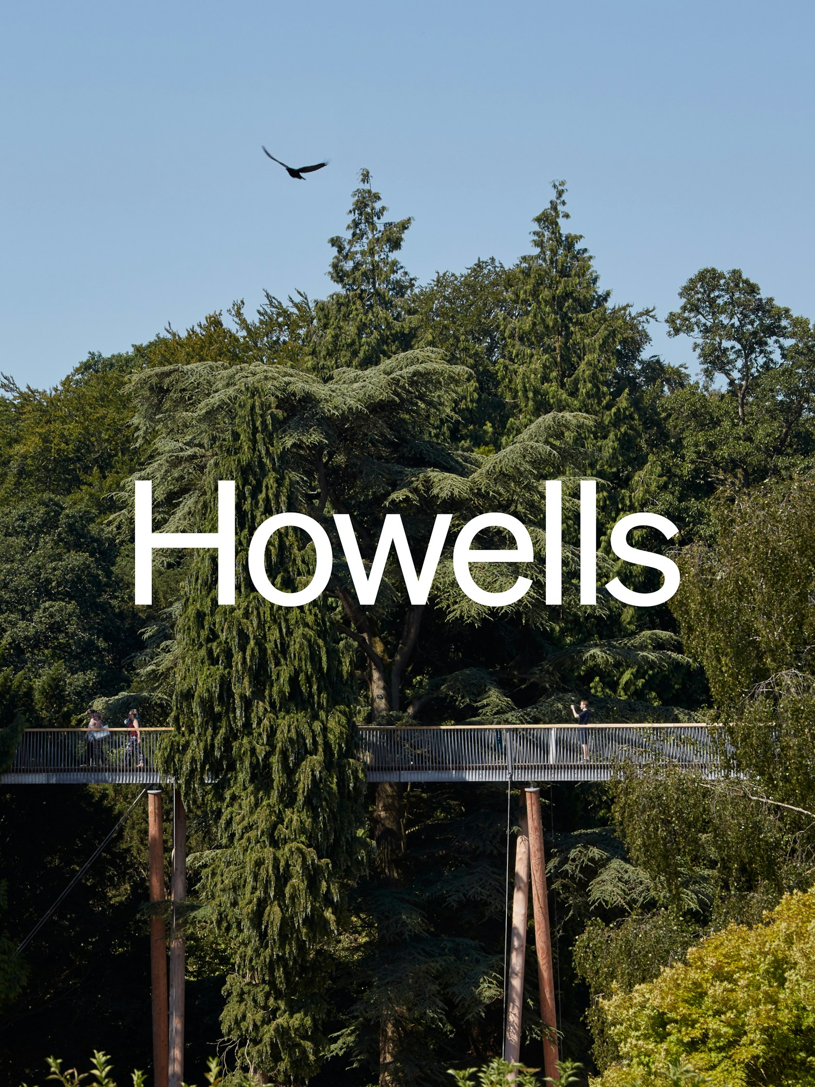 MoMA: QNS | Base Design